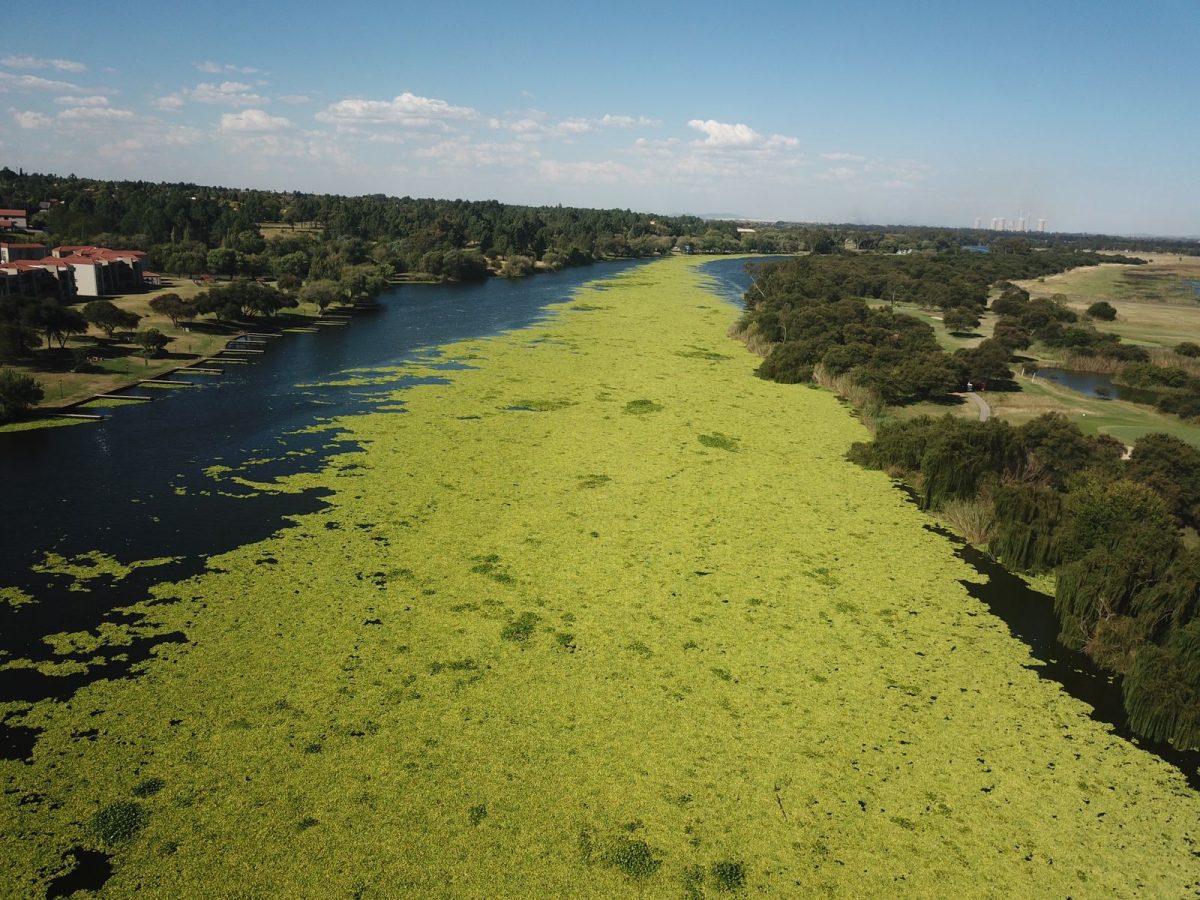 Save The Vaal Environment – SAVE THE VAAL ENVIRONMENT is a non-profit ...